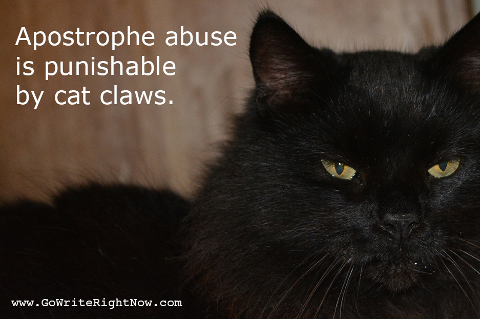 Grammarcat issues a reminder – Go Write Right Now